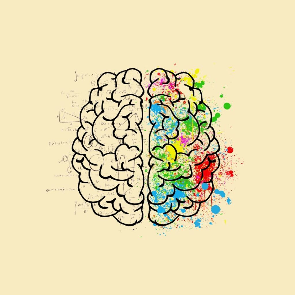 Understanding ADHD and Autism: Key Similarities and Differences ...